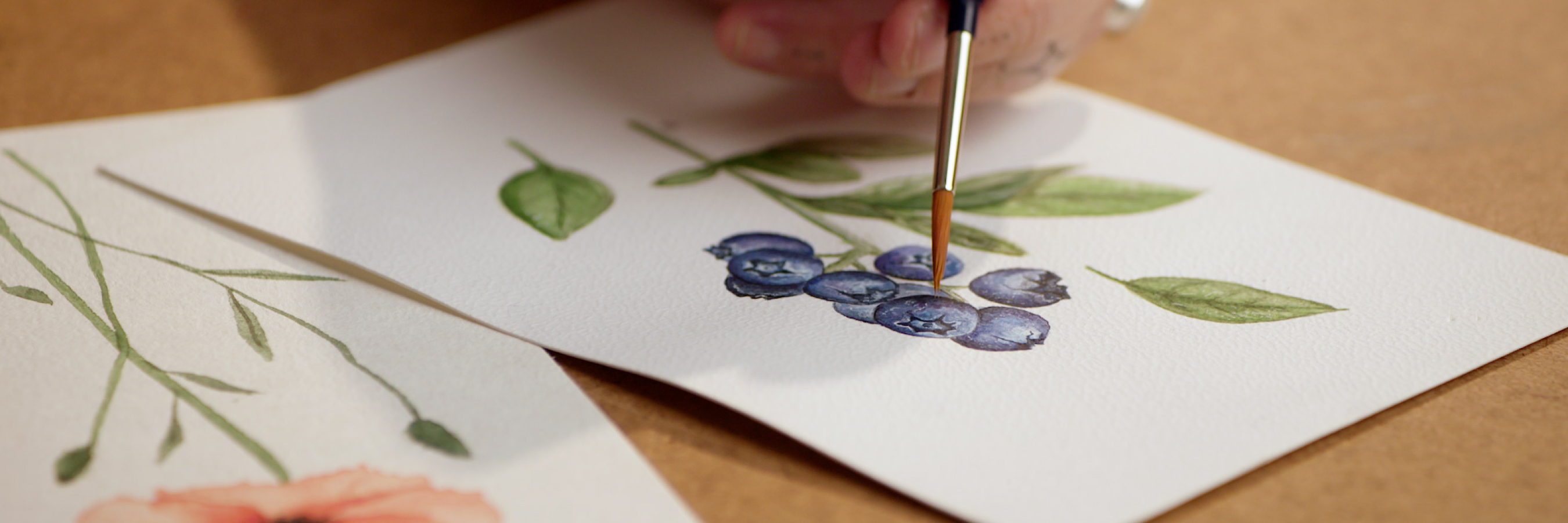 Shopping Guide: Best Watercolour Paints for Every Level